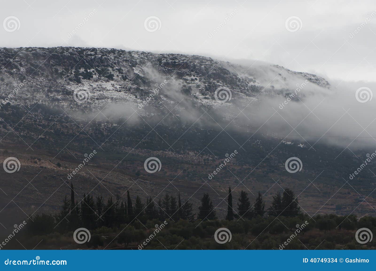 Snowy view stock photo. Image of natural, journey, view - 40749334