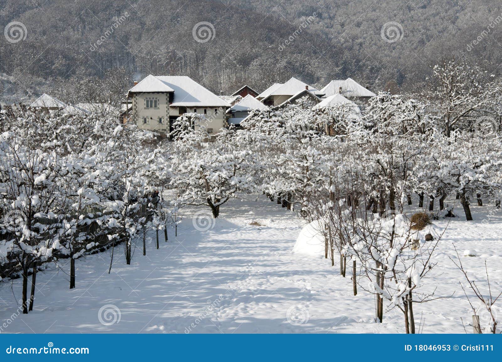 Snowy Village Hotel in Winter Orchard Stock Image - Image of farmland ...