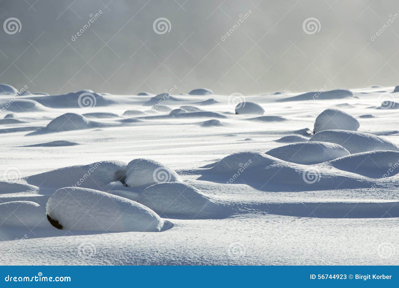 Snowy Volcanic Rocks in Iceland Stock Image - Image of stones, black ...
