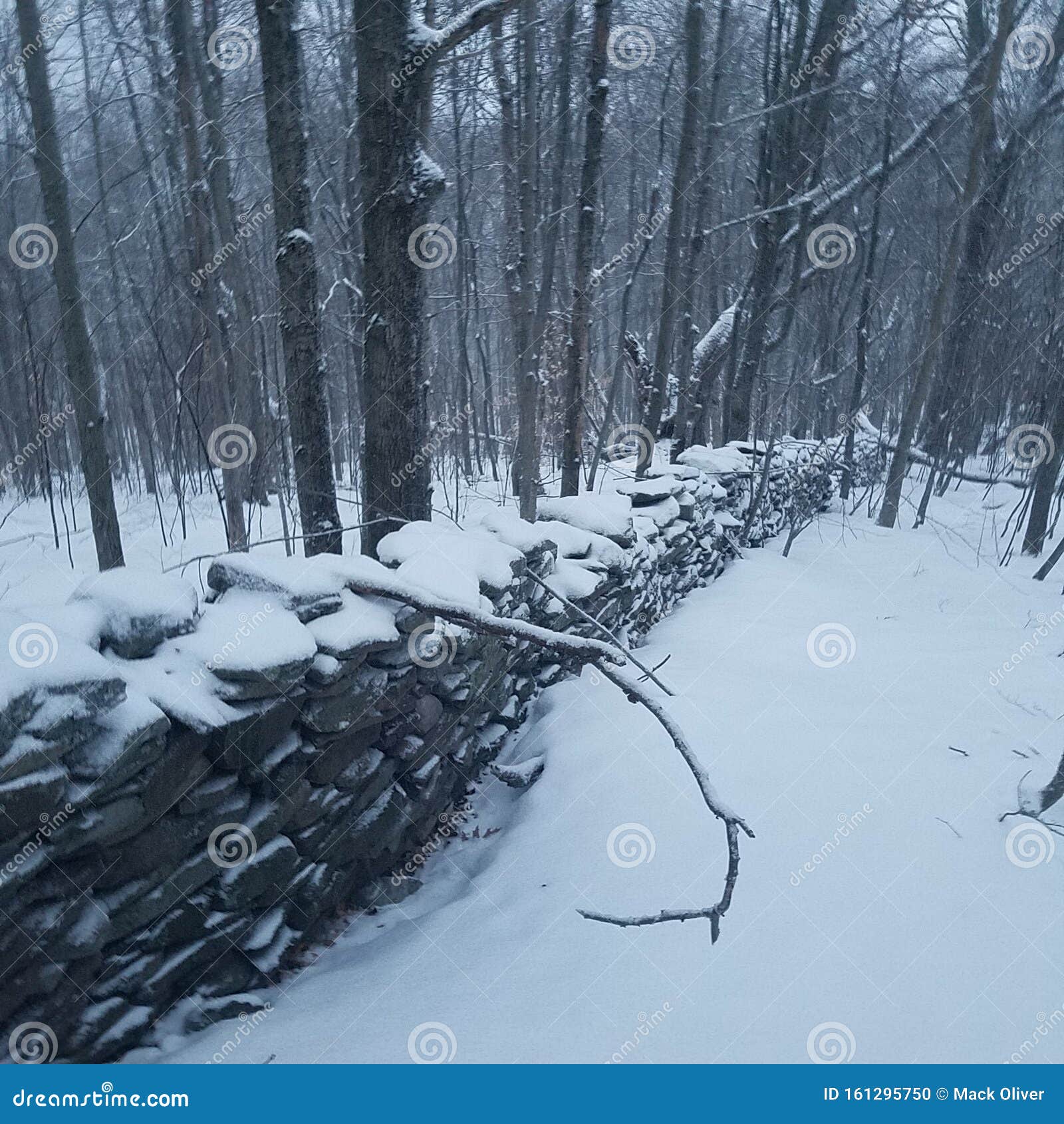 Snowy Wall in the Winter stock photo. Image of wall - 161295750