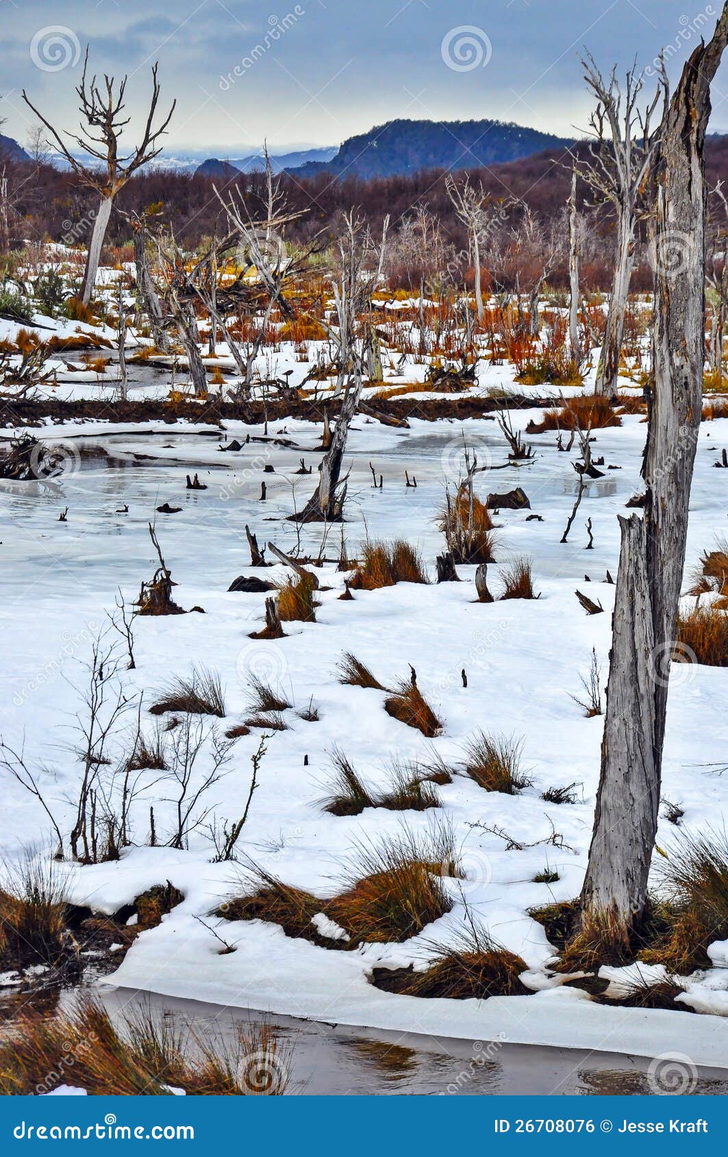 A Snowy Wasteland stock photo. Image of season, ushuaia - 26708076