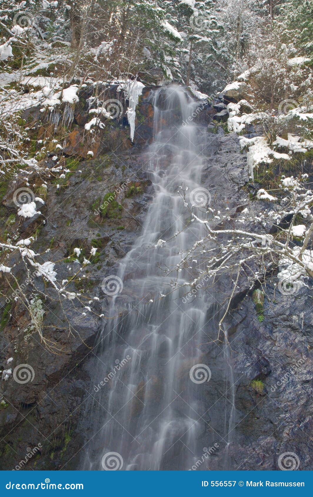 Snowy waterfall stock image. Image of fall, forest, water - 556557