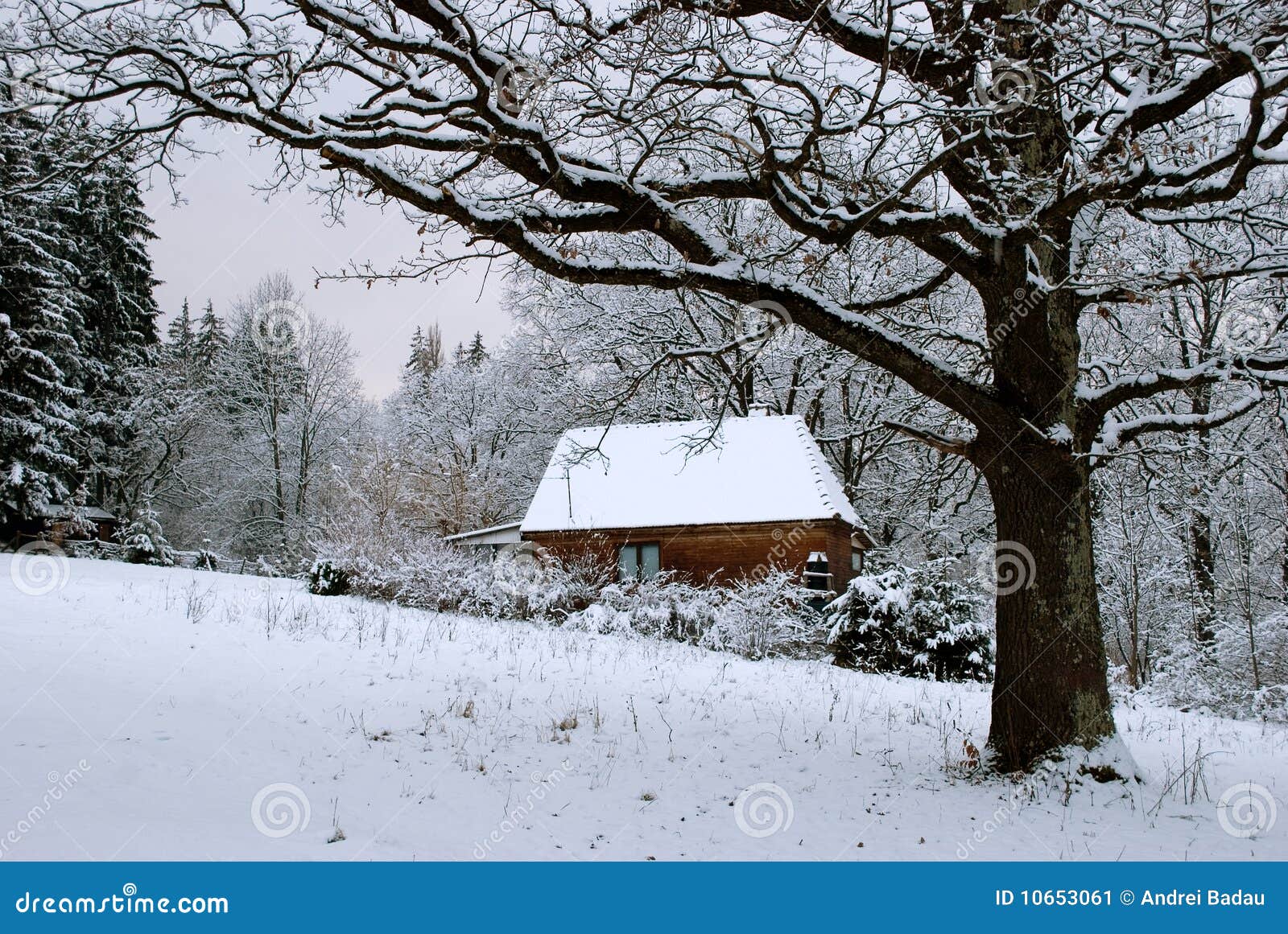 Snowy weather stock image. Image of isolated, building - 10653061