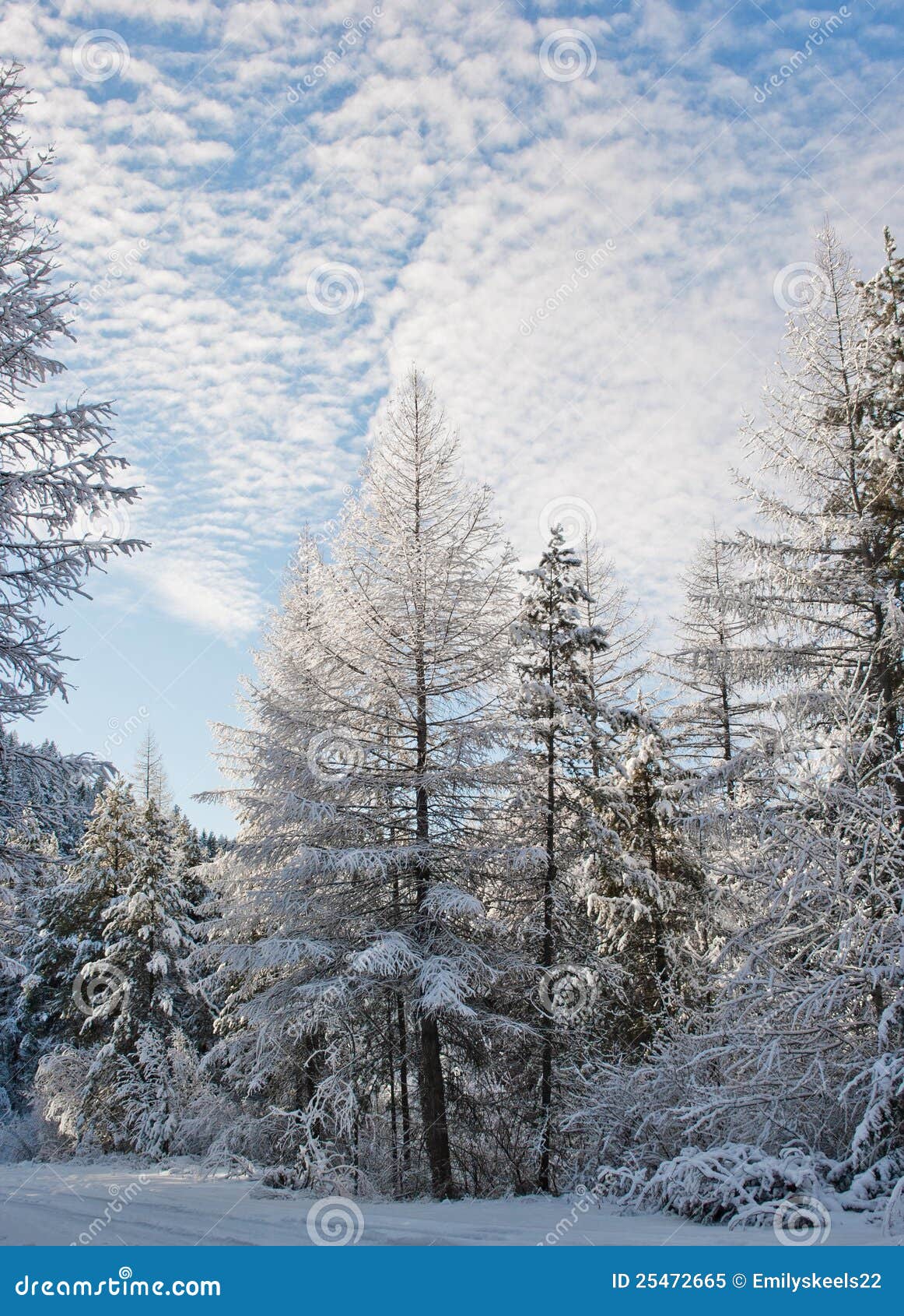 Snowy Wilderness stock image. Image of mountains, vertical - 25472665