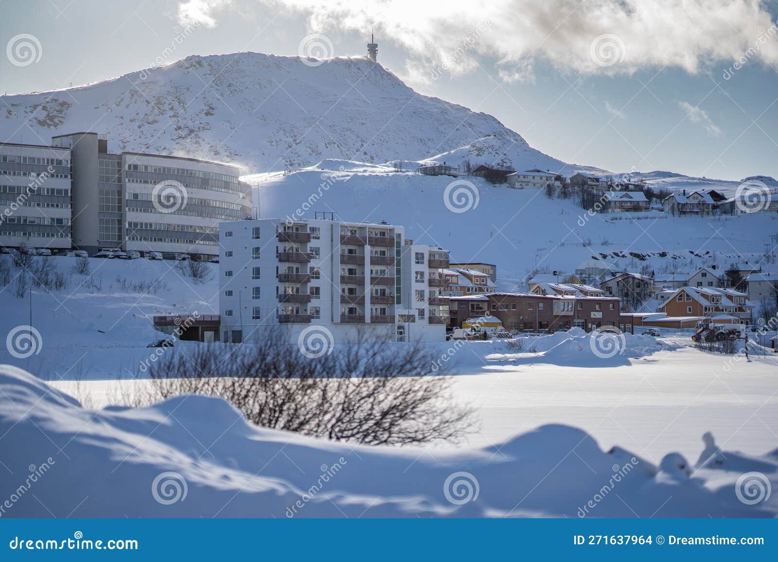 Snowy and windy day stock photo. Image of rural, window - 271637964