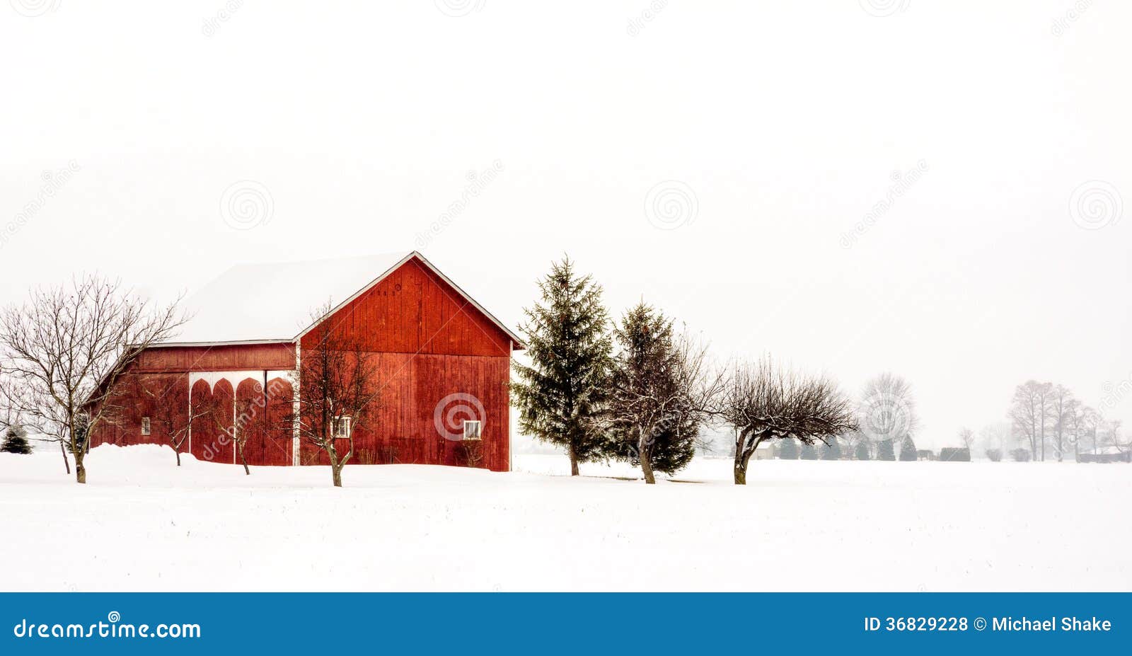 Snowy Winter Barn stock photo. Image of country, rustic - 36829228