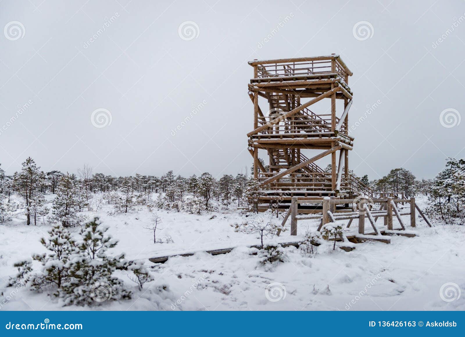 Snowy Winter Day at Swamp. Small Swamp Trees and Watchtower Stock Image ...