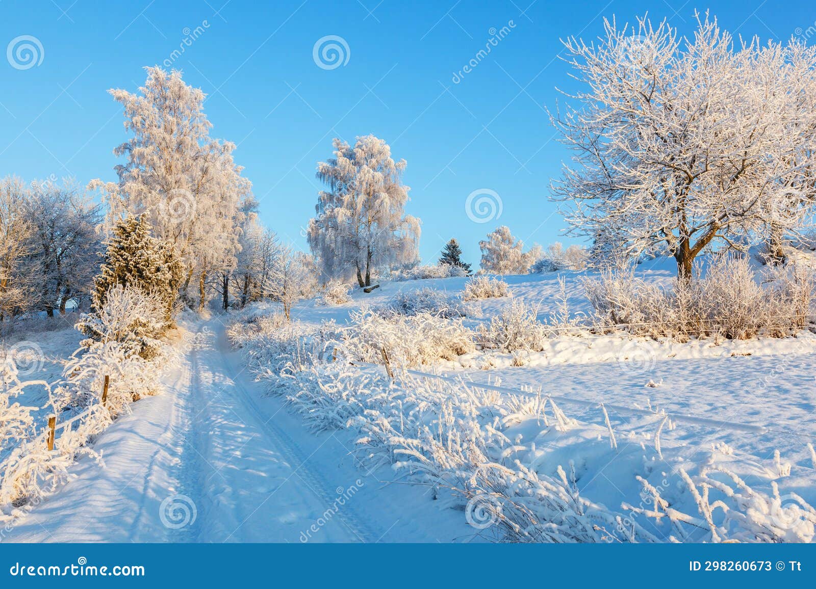 Snowy Winter Landscape with a Dirt Road at the Fields Stock Image ...