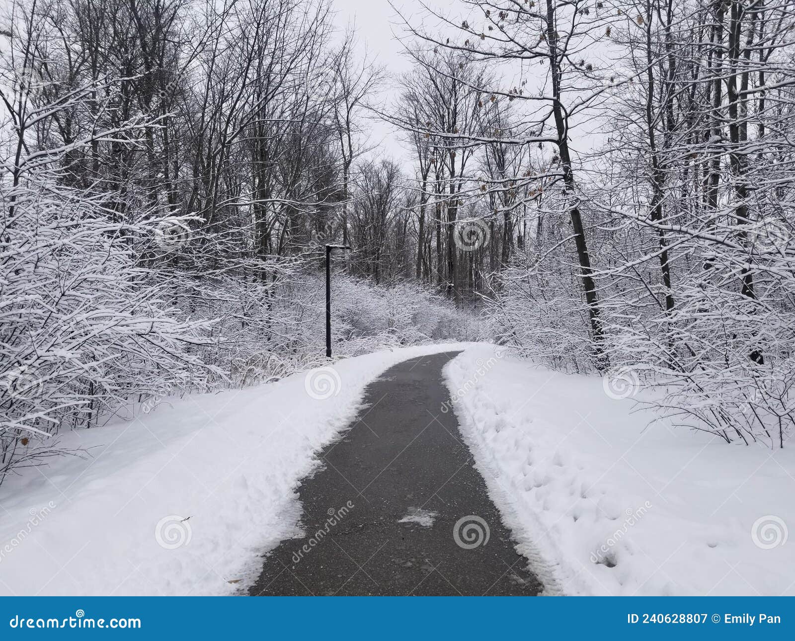 Snowy Winter Pathway stock image. Image of snowy, snow - 240628807