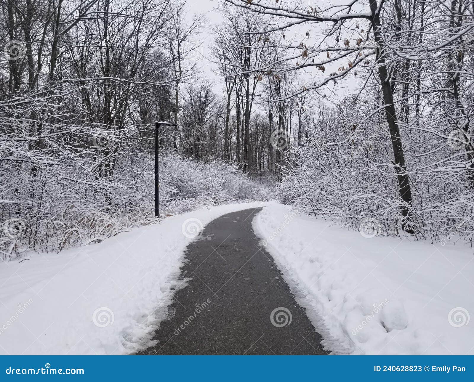 Snowy Winter Pathway stock image. Image of footwear - 240628823