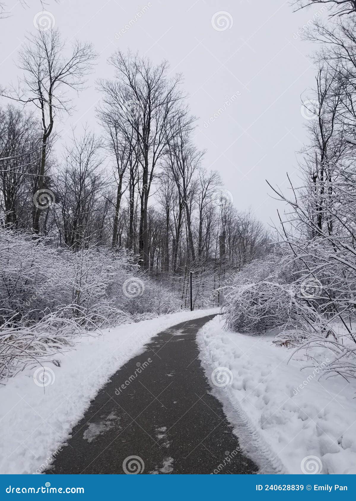 Snowy Winter Pathway stock image. Image of winter, snow - 240628839
