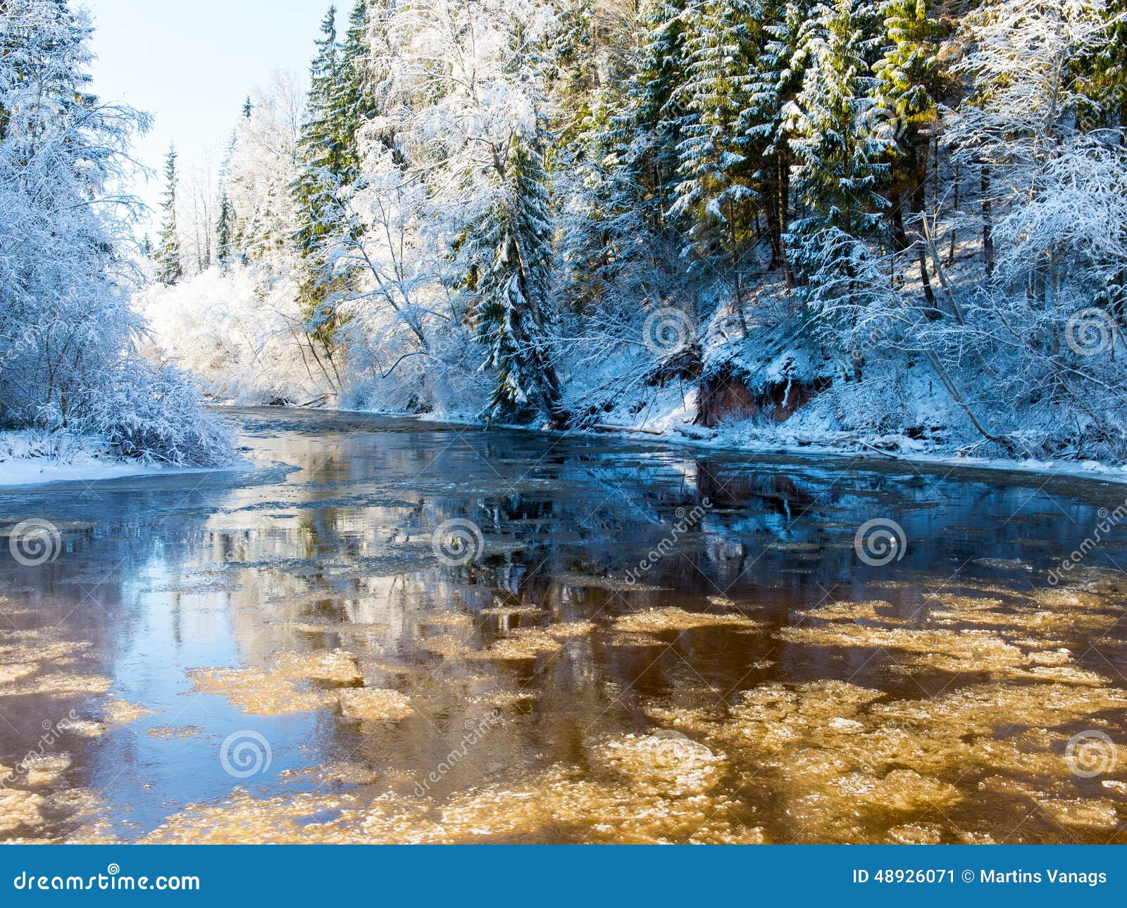 Snowy Winter River Landscape with Snow Covered Trees Stock Image ...