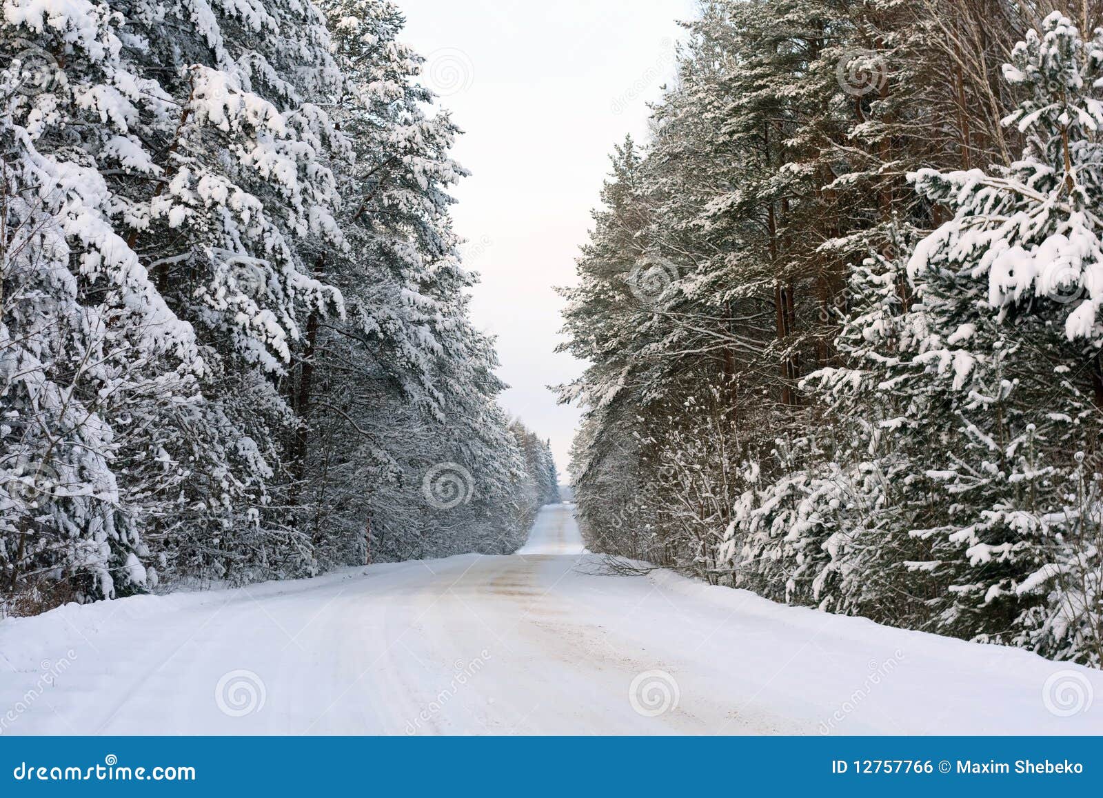 Snowy winter road stock photo. Image of park, clouds - 12757766