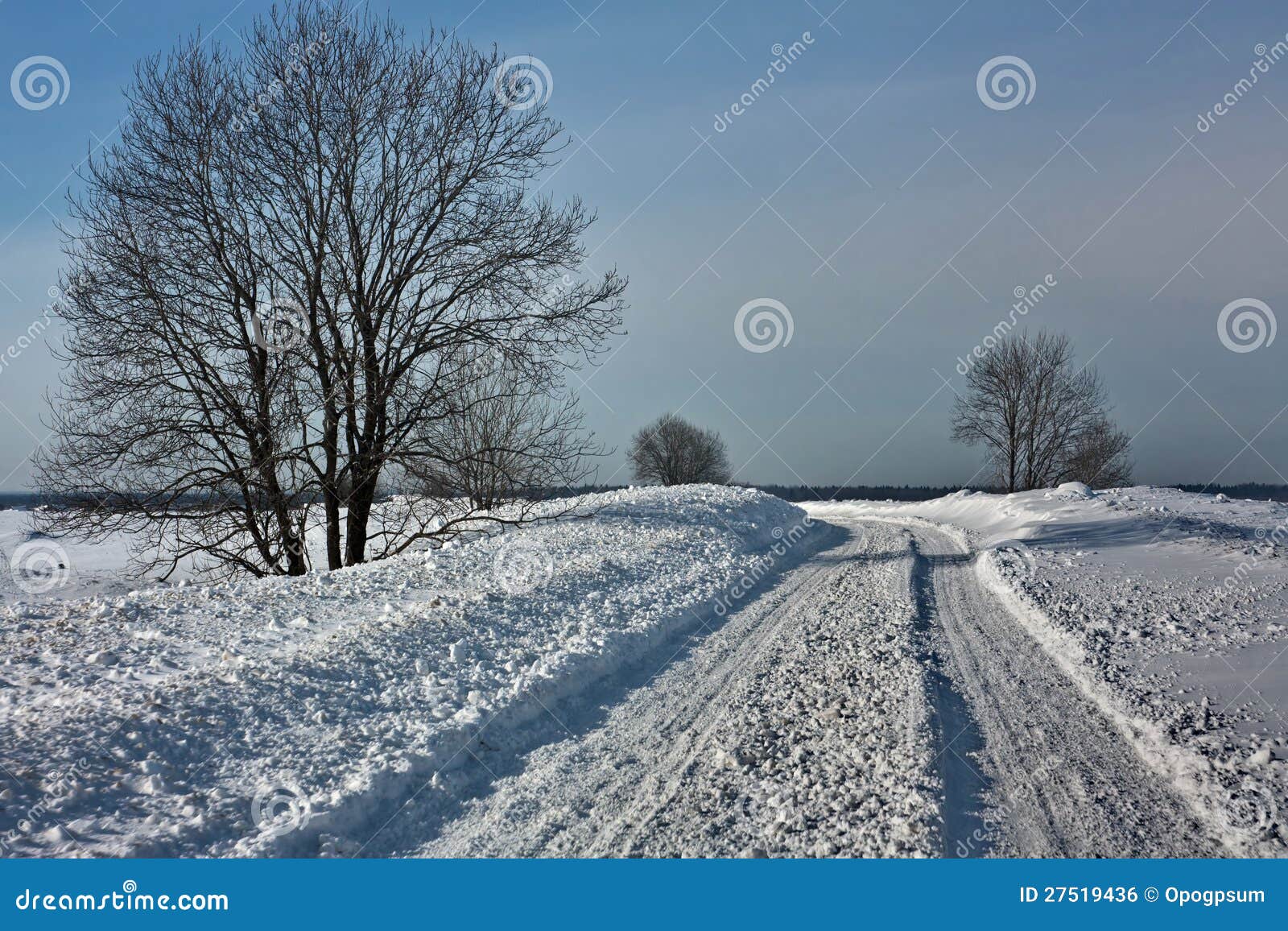 Snowy winter road stock photo. Image of park, lomonosov - 27519436