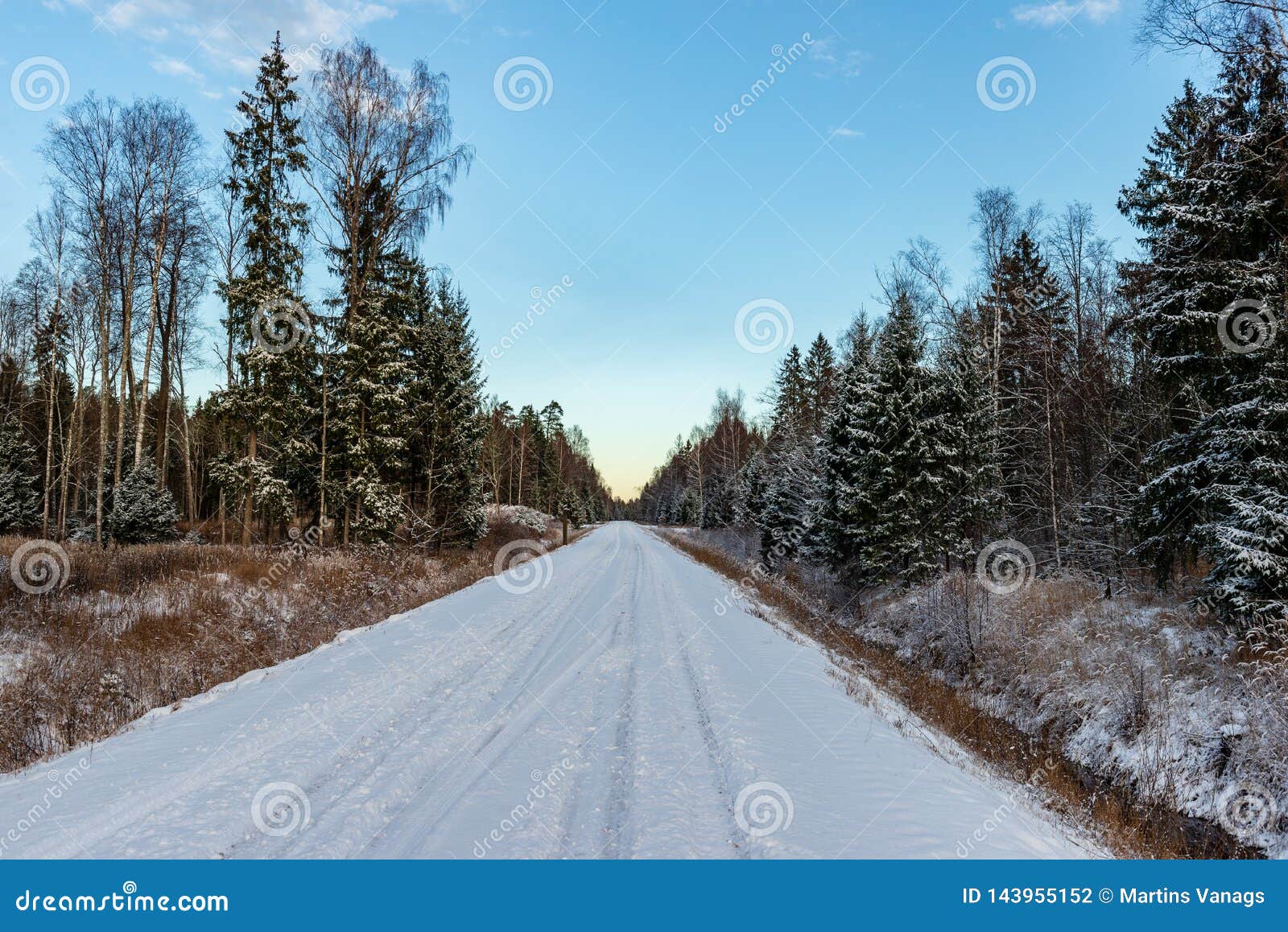 Snowy Winter Road Covered in Ice and Snow Stock Photo - Image of tree ...