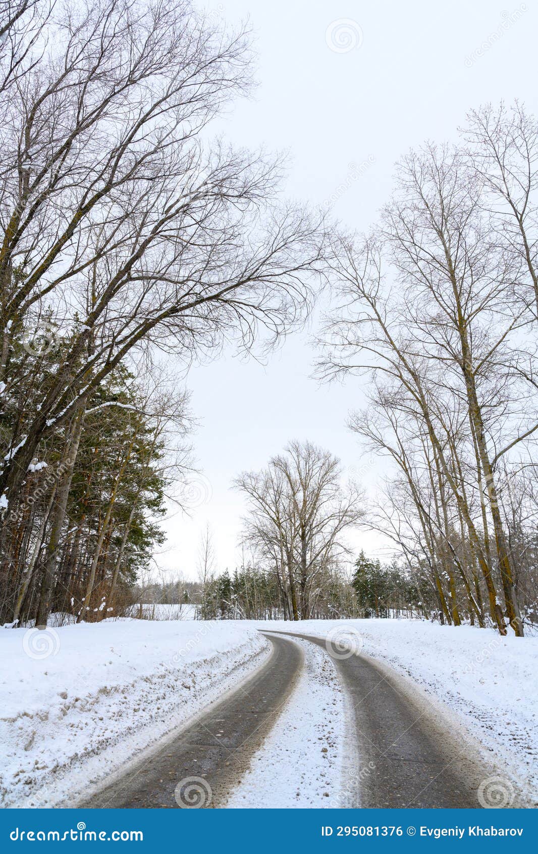 Snowy Winter Road in a Mountain Forest. Stock Photo - Image of frozen ...