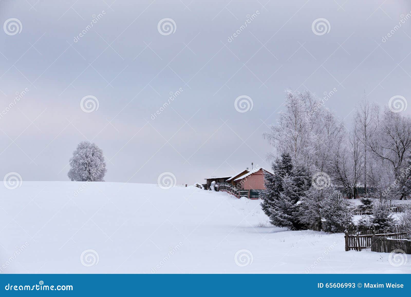 Snowy winter in a village stock image. Image of landscape - 65606993