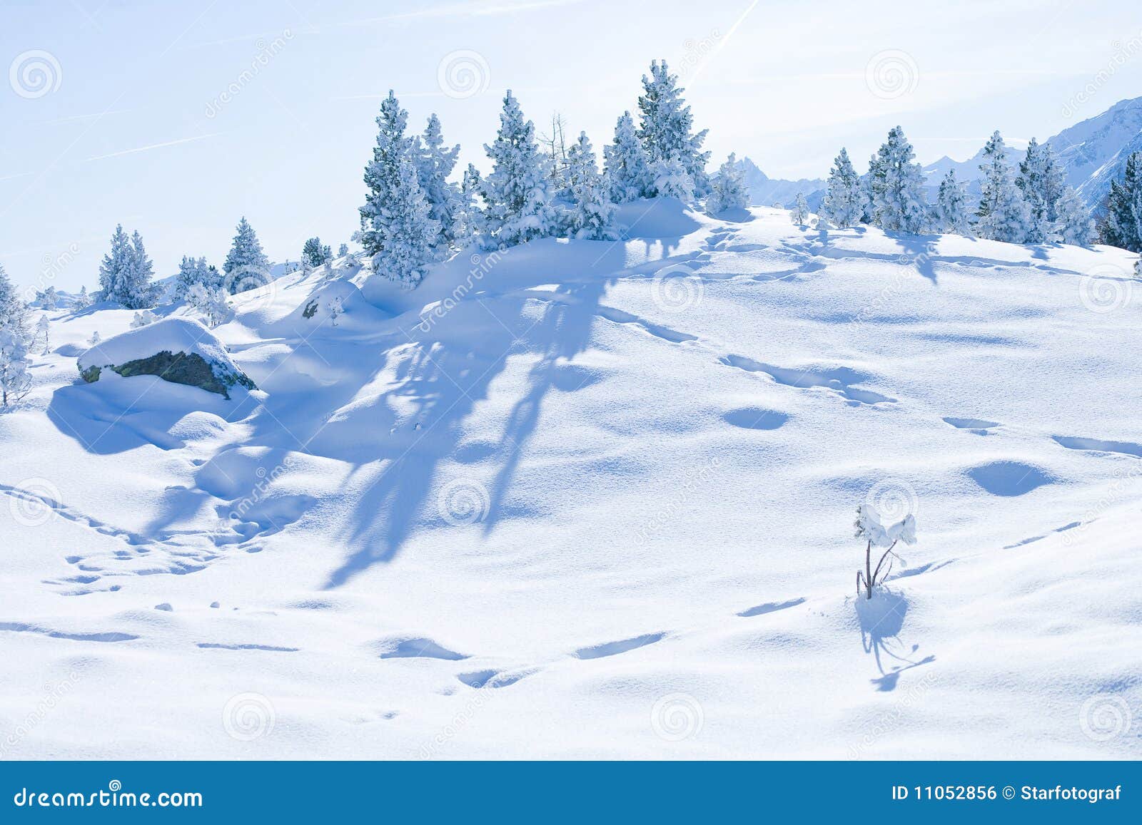 Snowy wonderland stock photo. Image of winter, mountain - 11052856