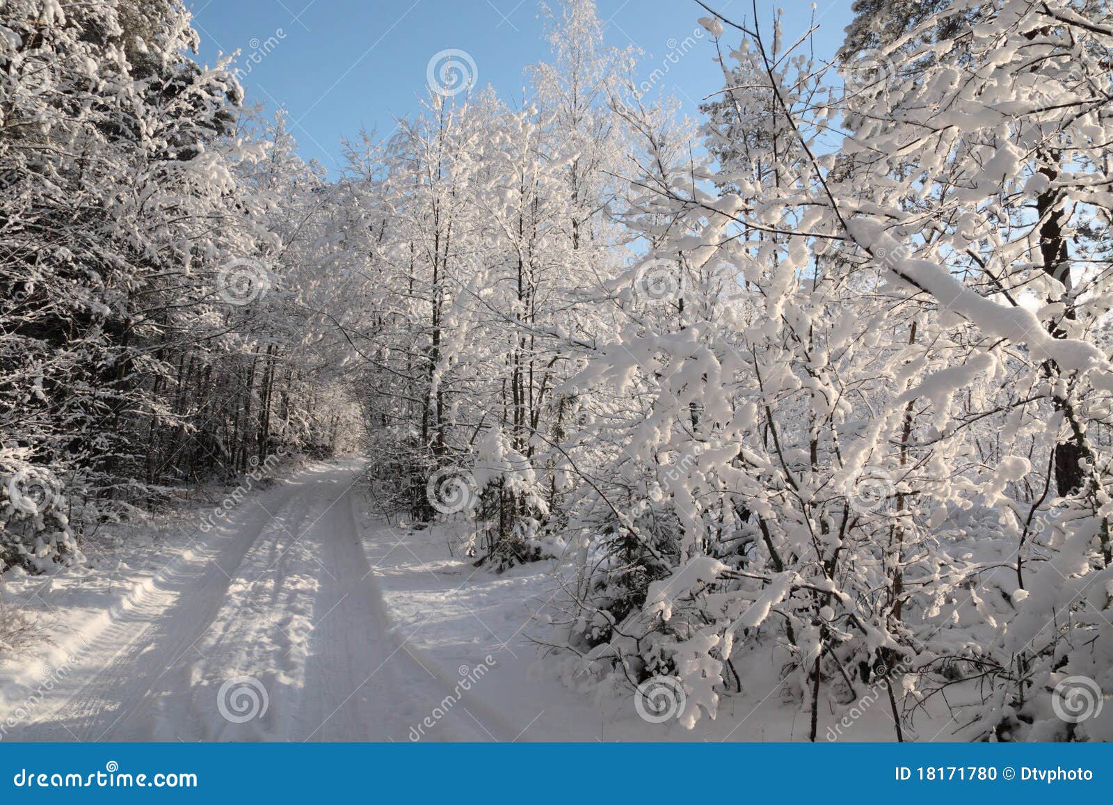 Snowy wood stock photo. Image of snowflake, country, solar - 18171780