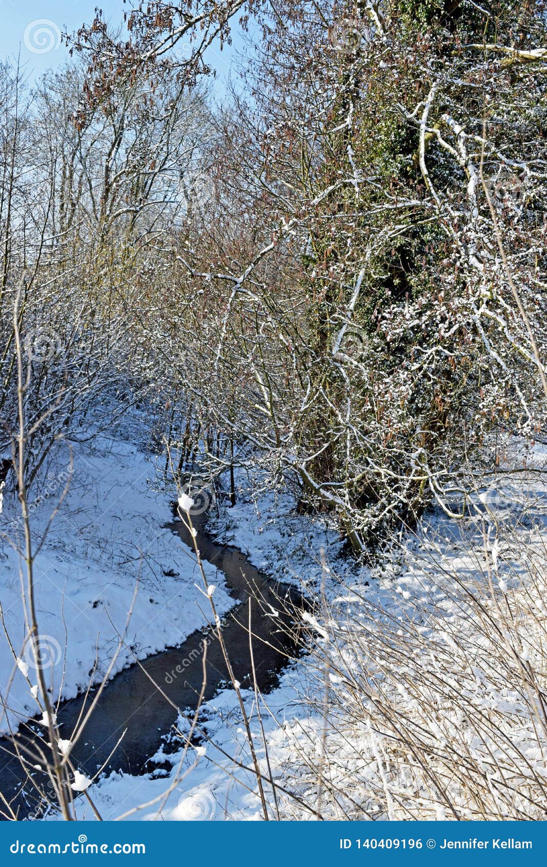 Snowy Woodland and River Scene. Stock Photo - Image of covered, trees ...