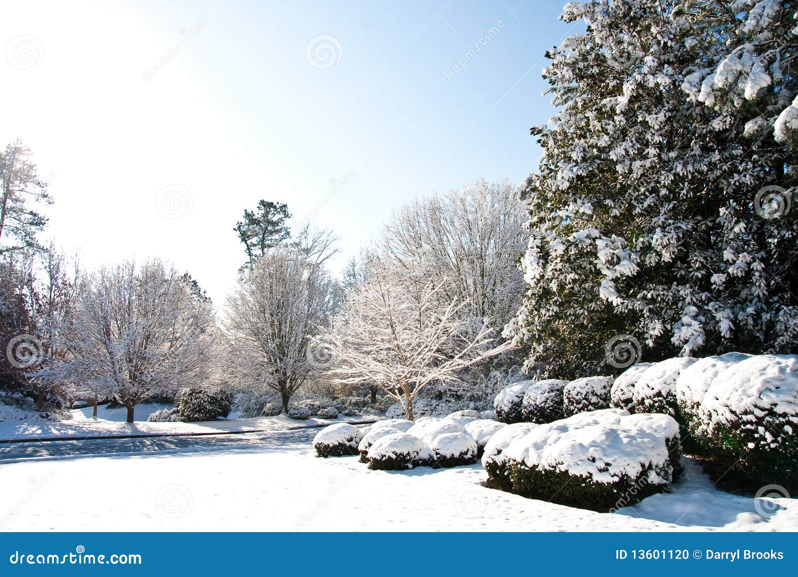 Snowy Yard on Brilliant Day Stock Photo - Image of natural, seasonal ...