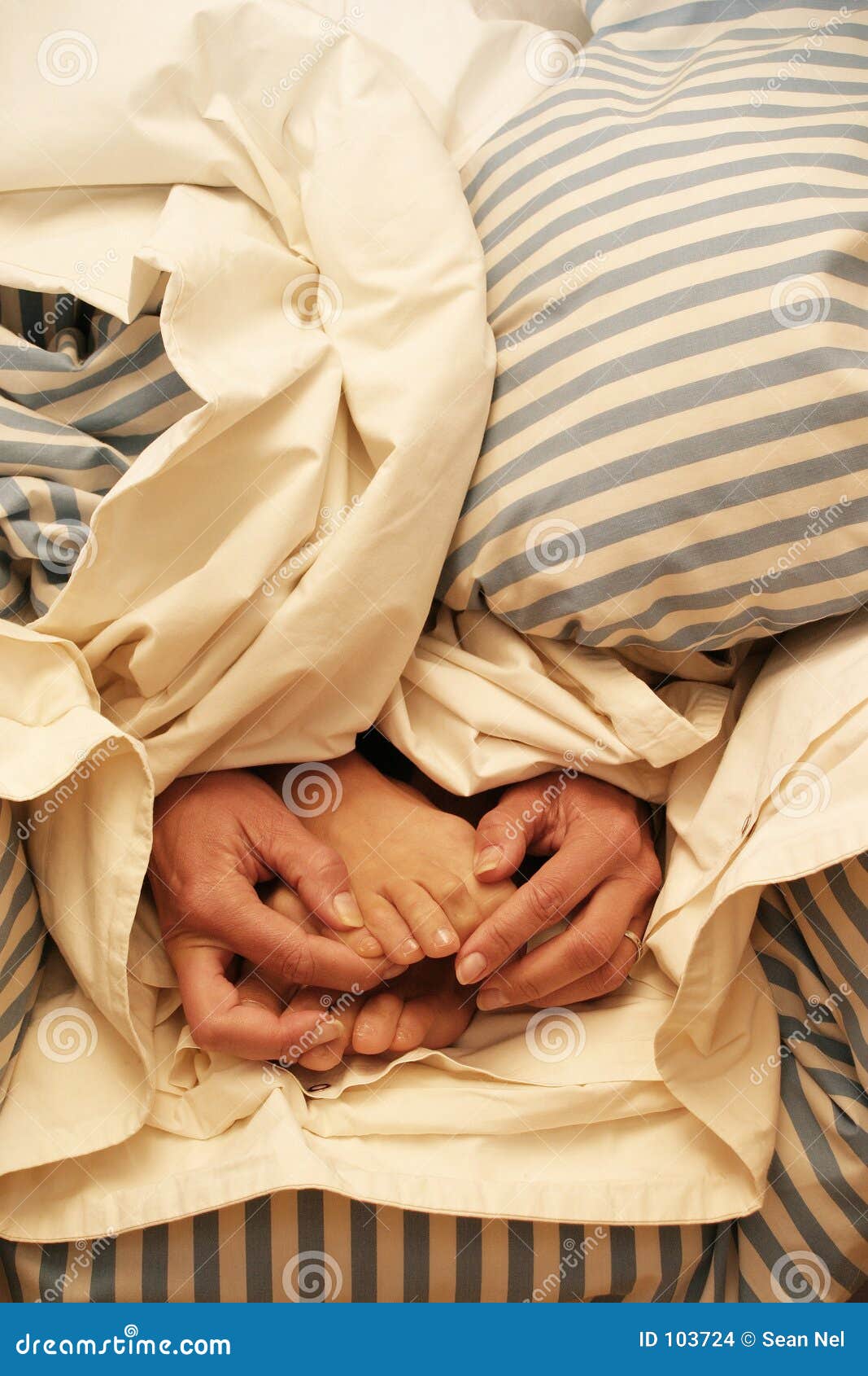 Snug stock photo. Image of snug, lines, playful, bedding - 103724