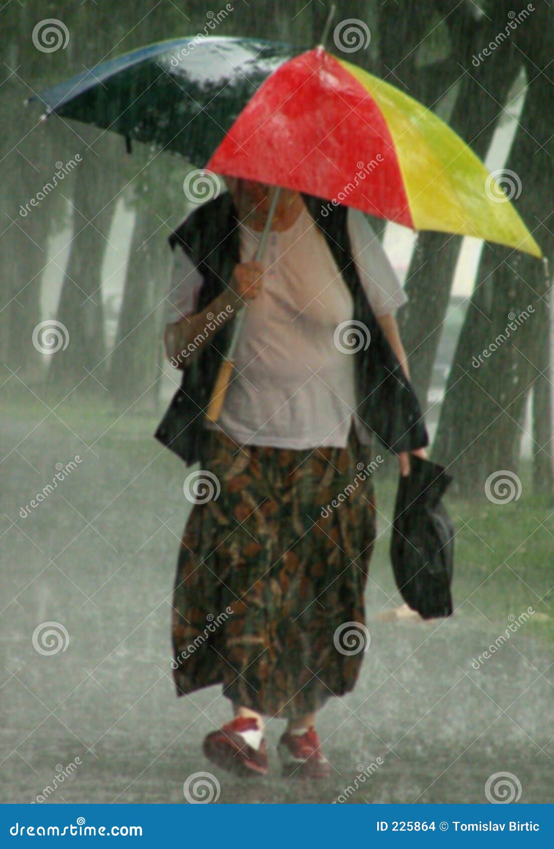 Soak / Rainy Day stock photo. Image of rain, colours, water - 225864