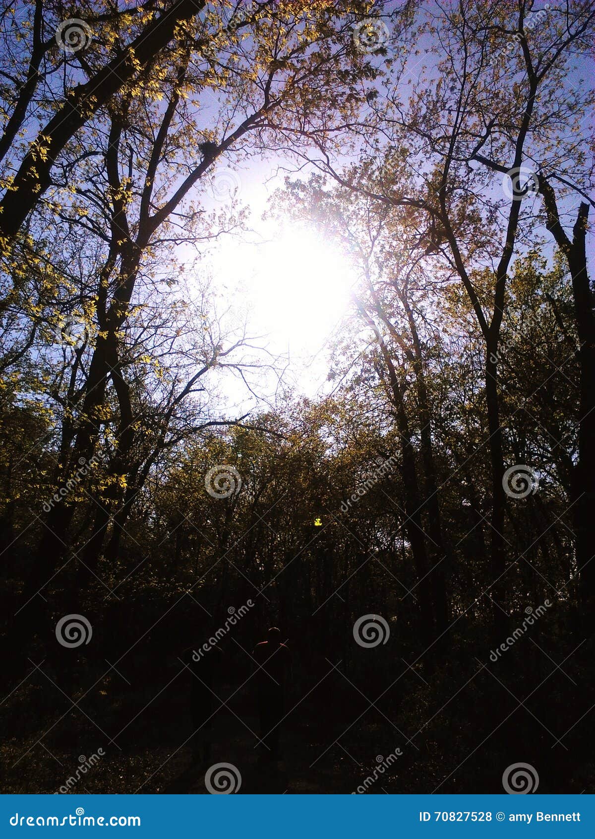 Soak up the sun stock photo. Image of perfect, captured - 70827528