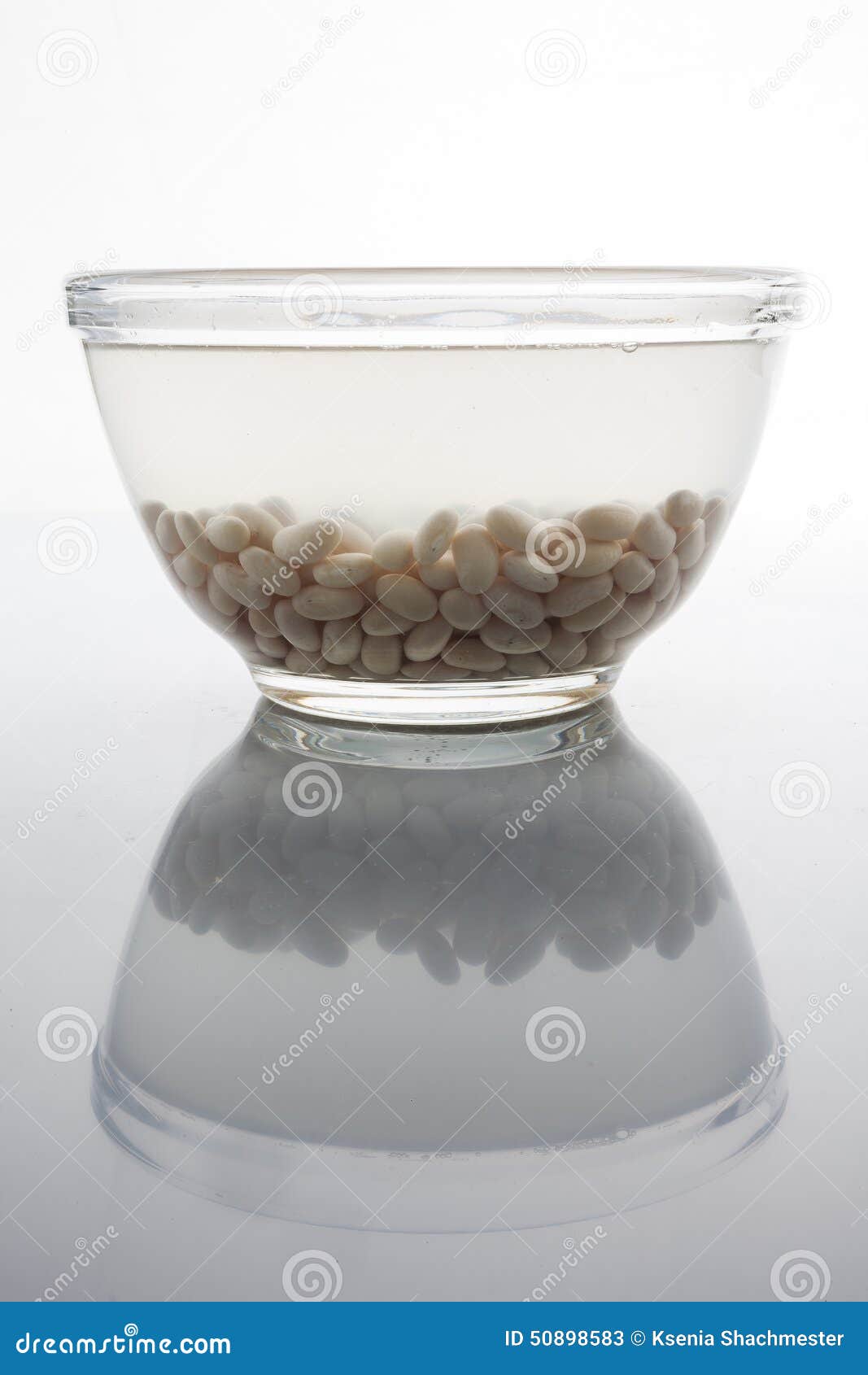 Soaked Beans on White with Reflection Stock Image - Image of water ...