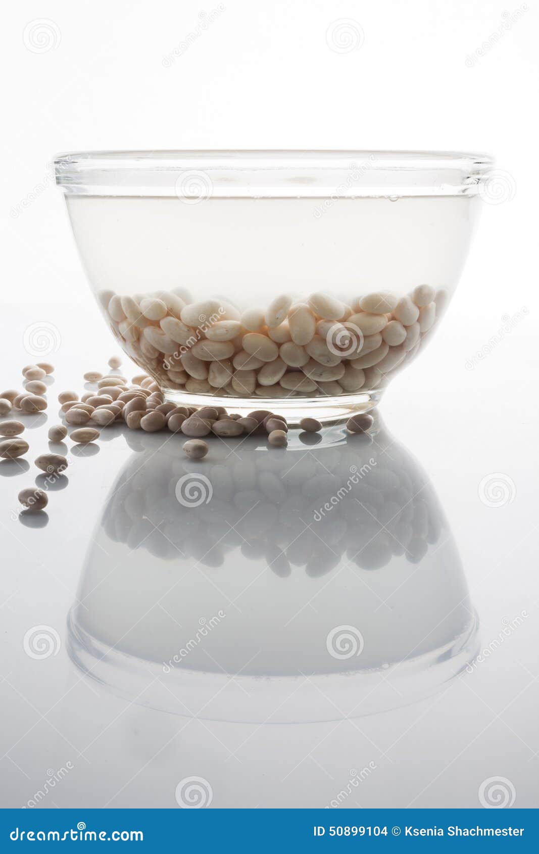 Soaked and Scattered Beans on White with Reflection Stock Photo - Image ...