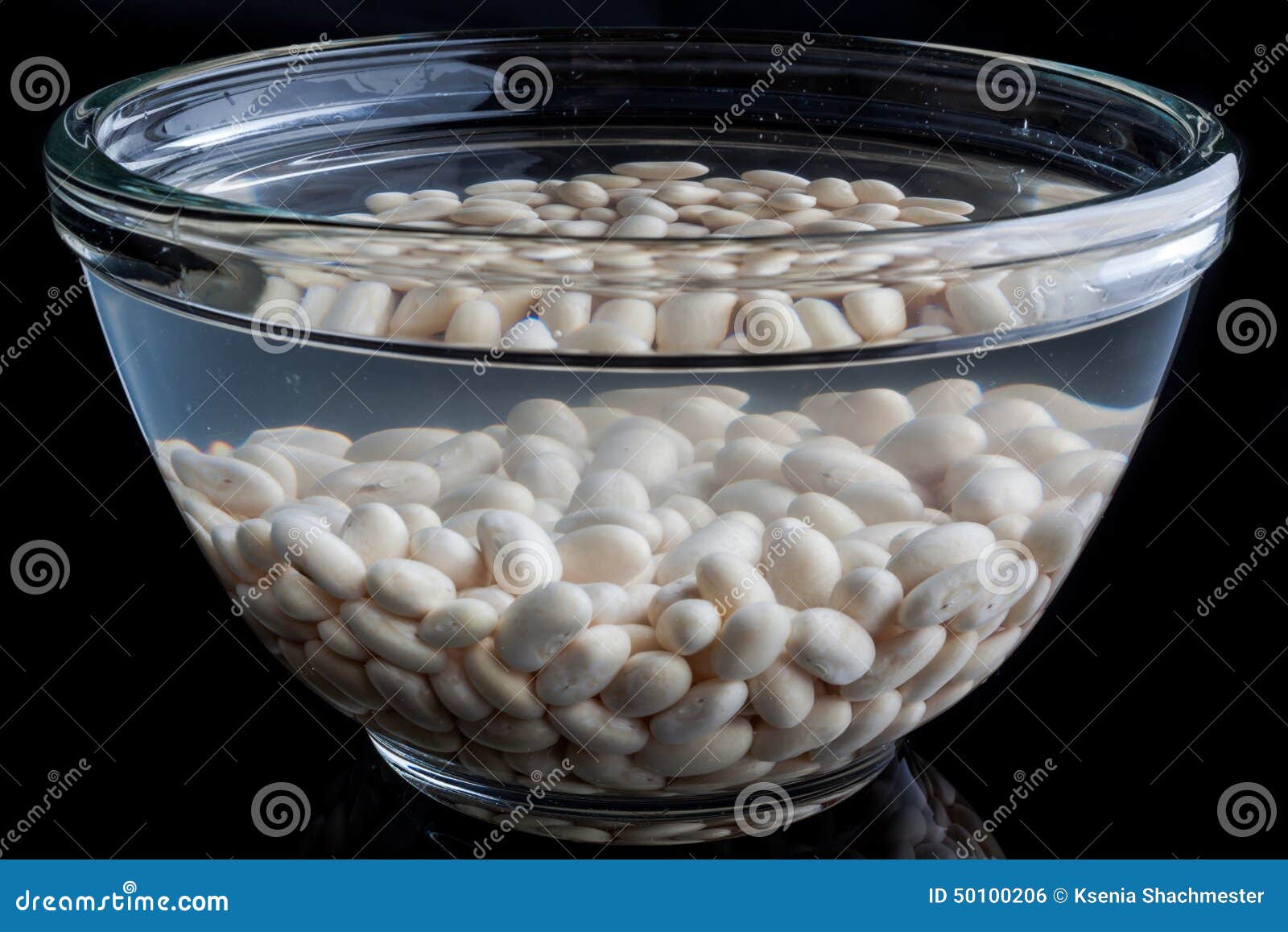 Soaked white beans stock photo. Image of water, bowl - 50100206