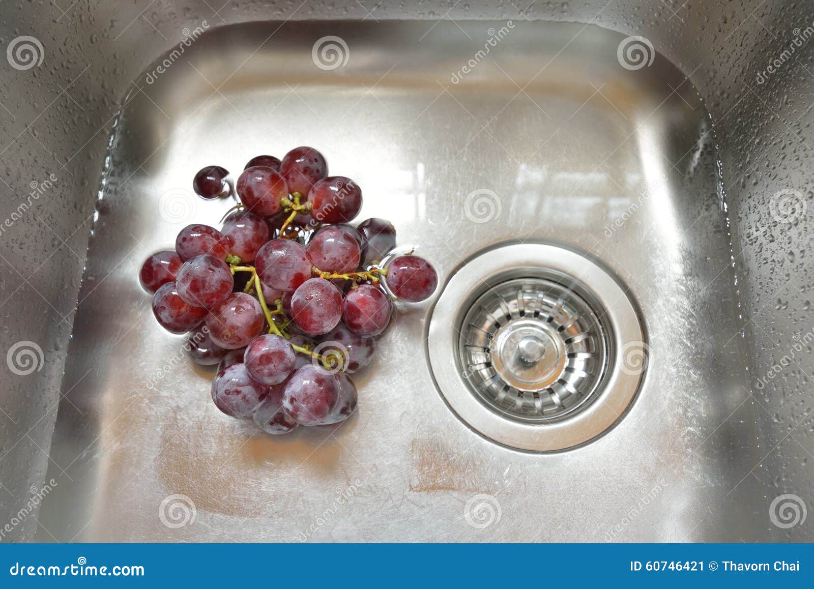 Soaking grape stock image. Image of nature, green, drop - 60746421