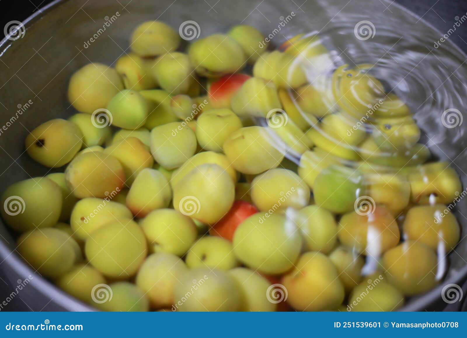 Soaking plums in water stock image. Image of plum, juice - 251539601