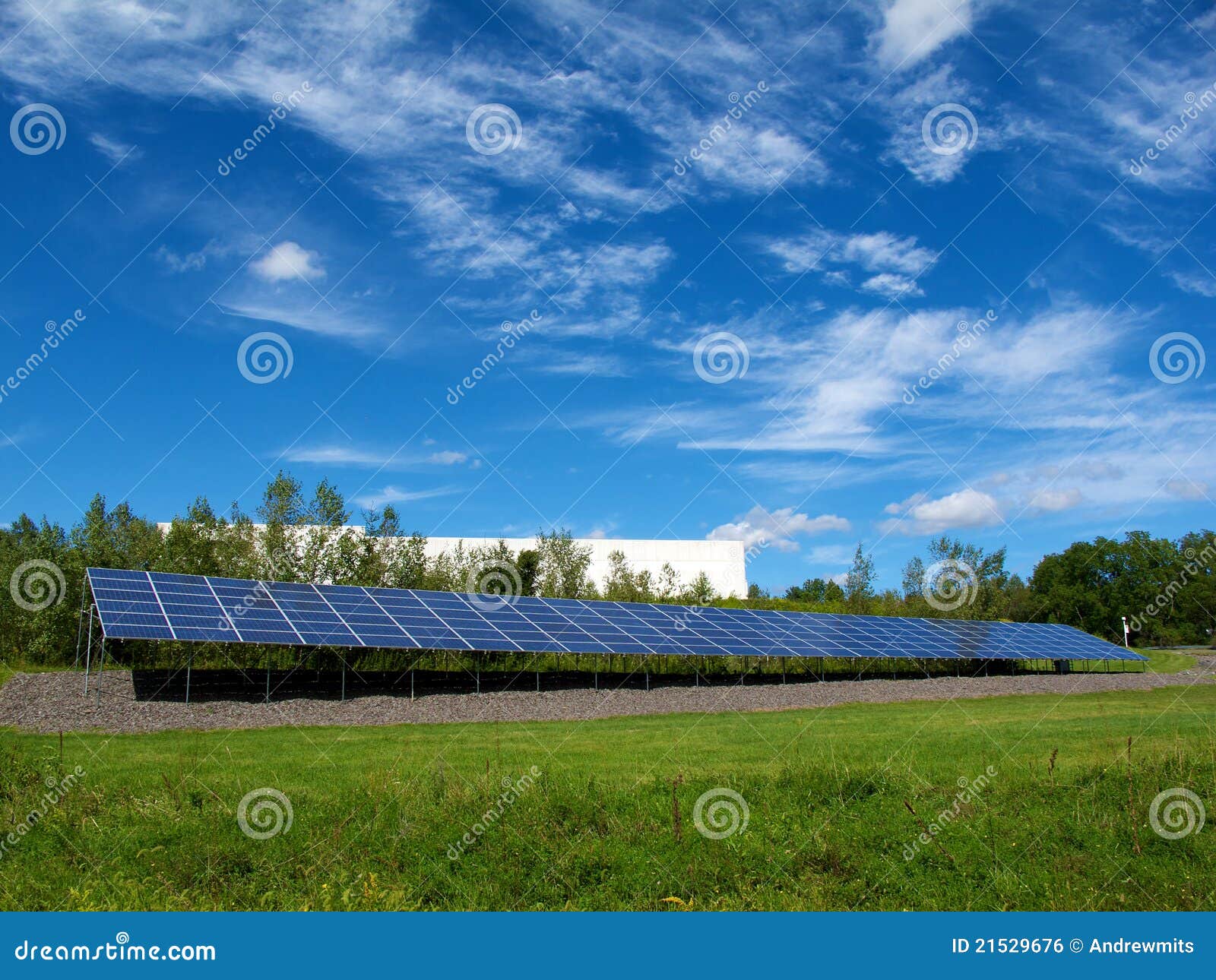 Soaking Up the Sun stock photo. Image of clean, energy - 21529676