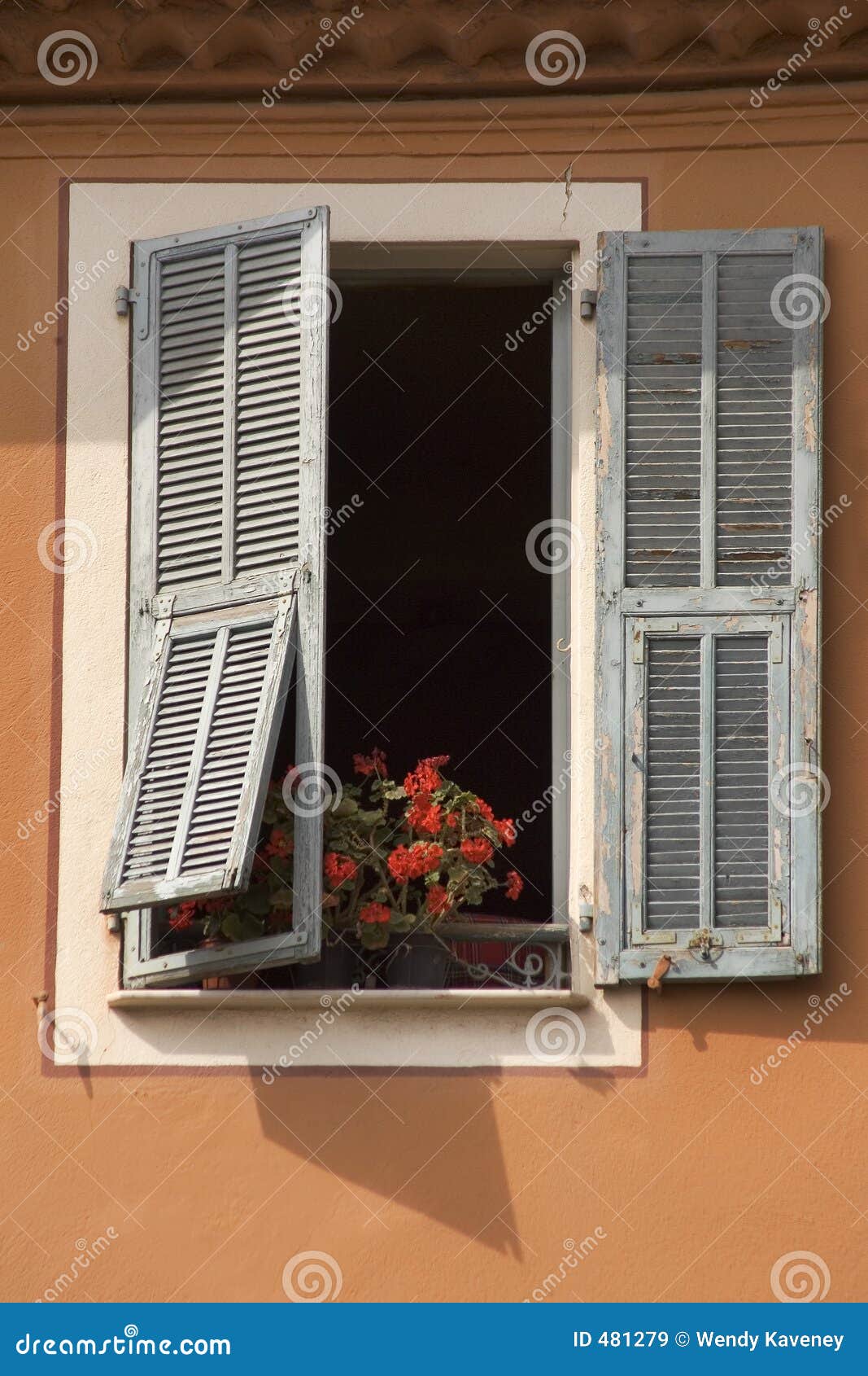 Soaking Up Sunshine Picture. Image: 481279