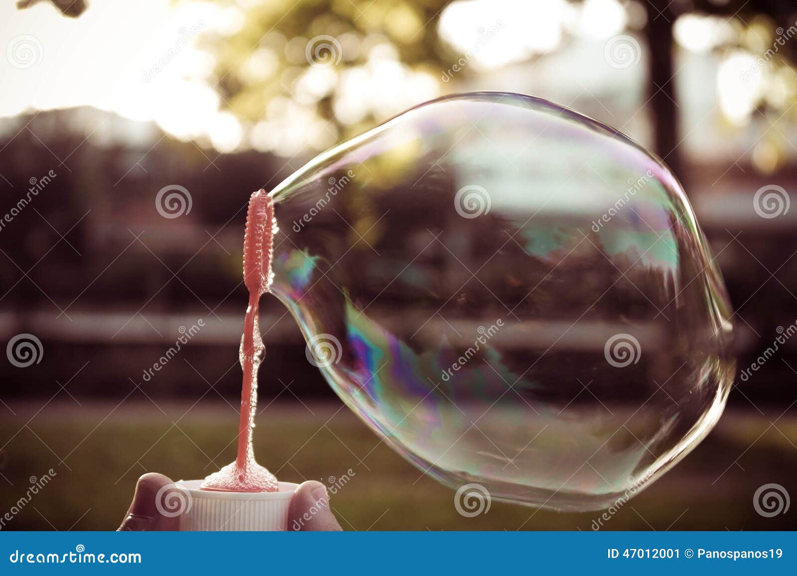 Soap bubble stock image. Image of colors, forest, bubble - 47012001