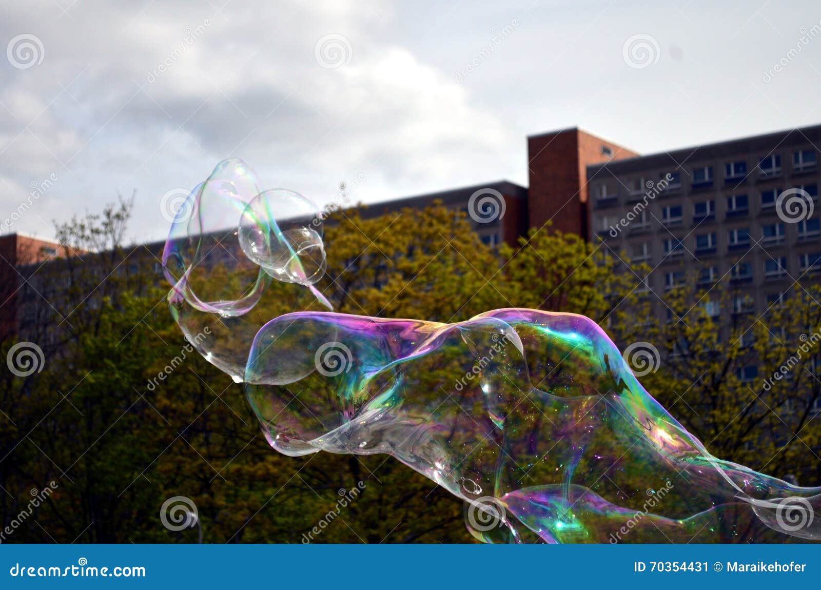 Dentre Photos - Free & Royalty-Free Stock Photos from Dreamstime