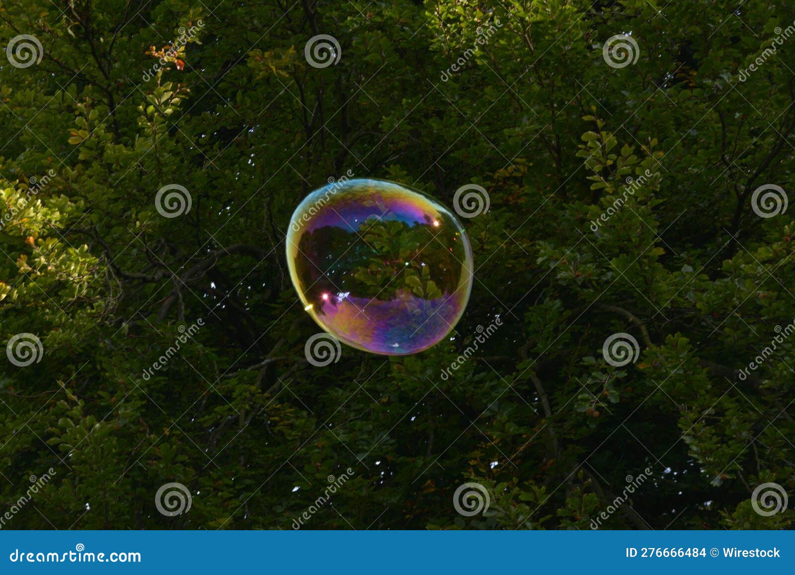 Soap Bubble Floating in the Air Stock Photo - Image of rainbow ...