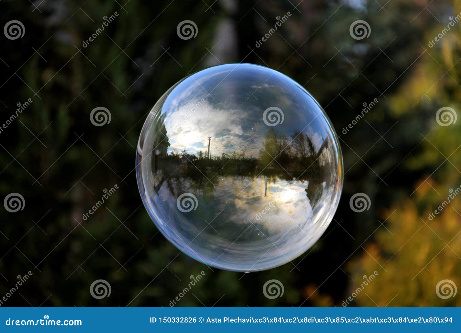 Soap Bubble Reflecting Spring Stock Photo - Image of party, space ...