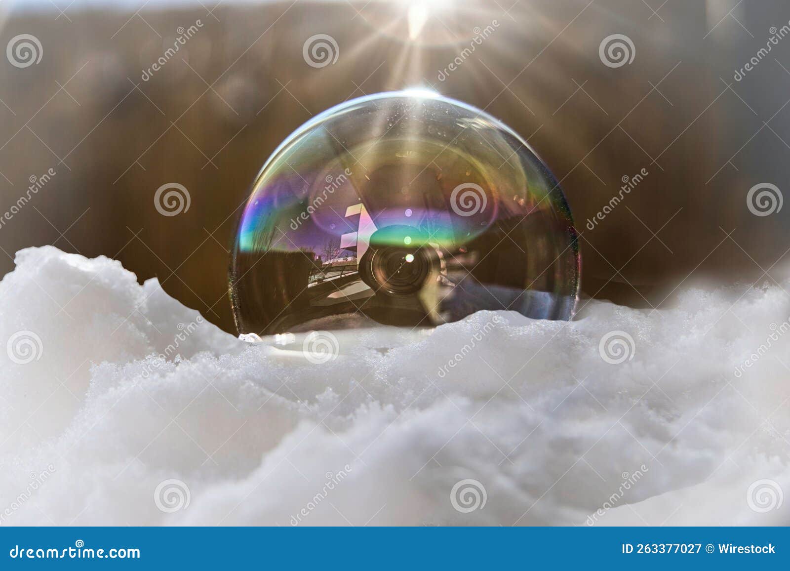 Soap Bubble with Reflection Stock Image - Image of transparent, cold ...