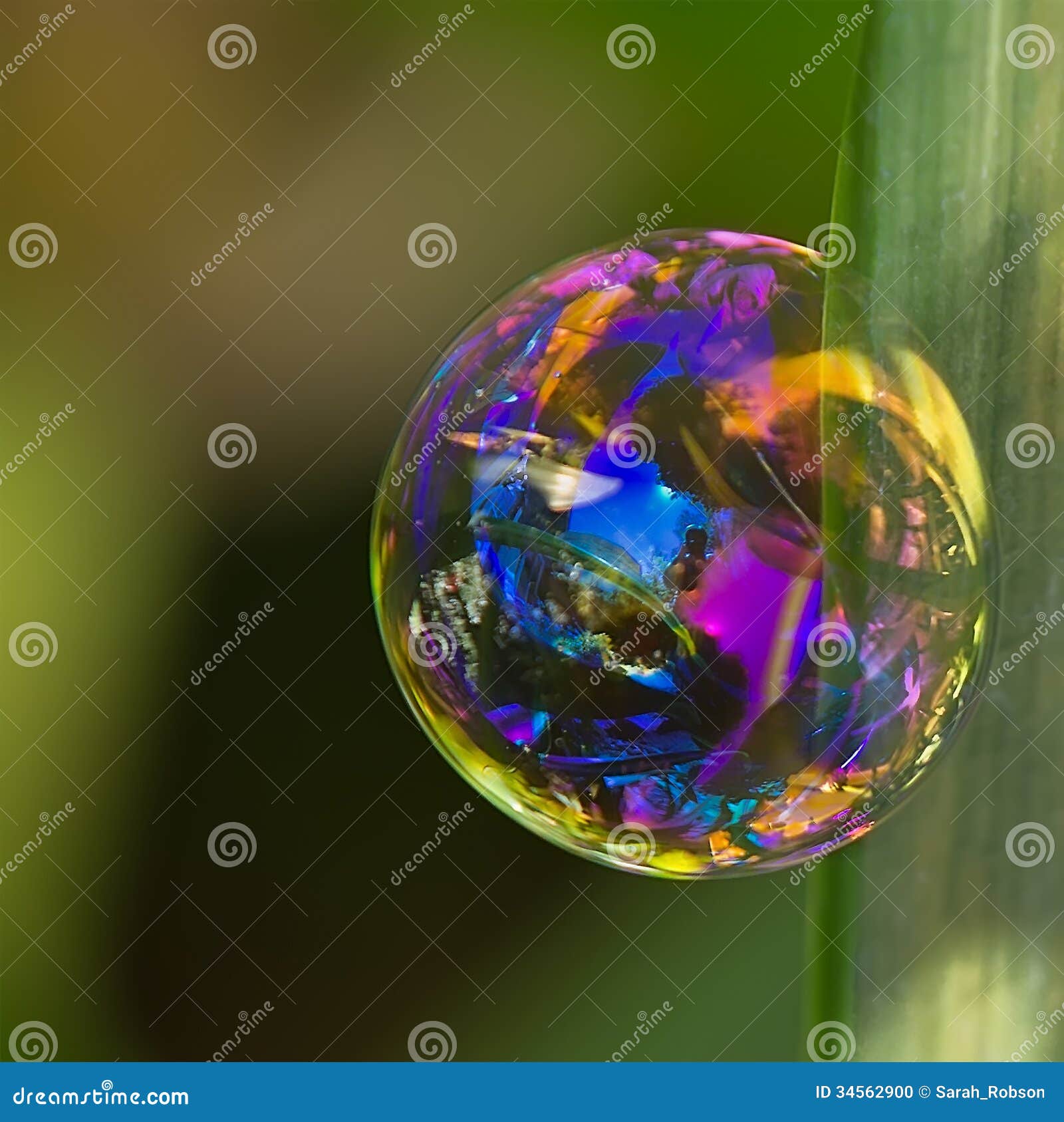 Soap Bubble with Reflections Stock Photo - Image of garden, bokeh: 34562900