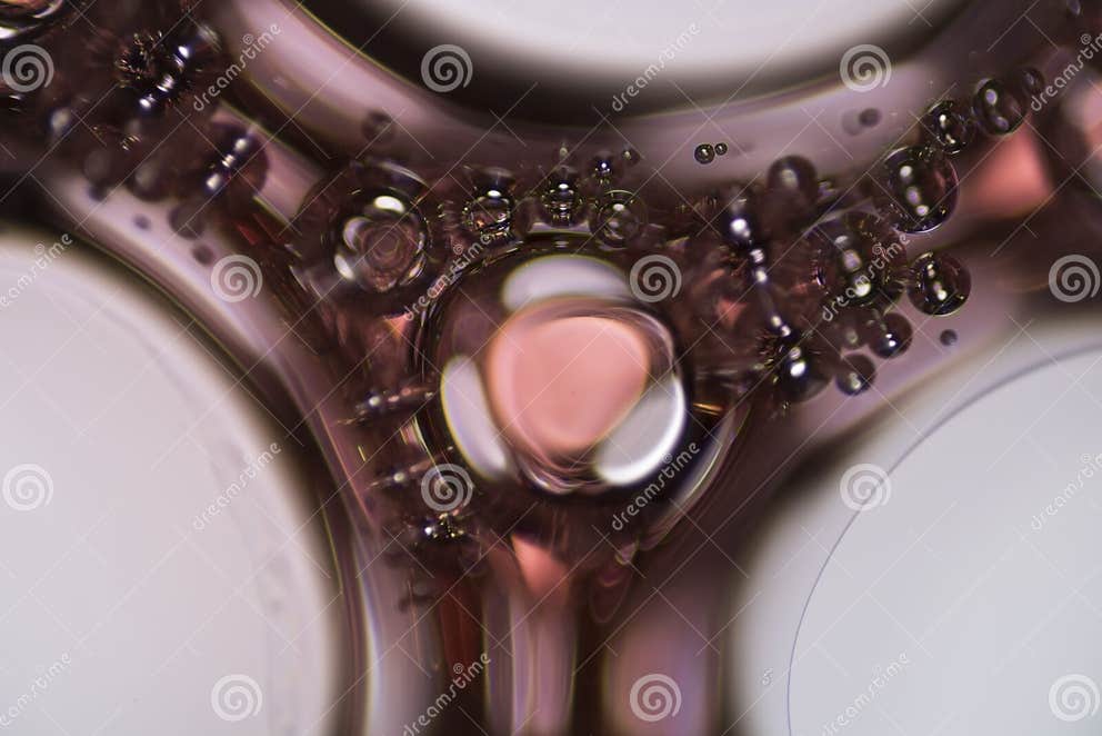 Soap bubble stock image. Image of soap, enlargement, abstract - 83659319