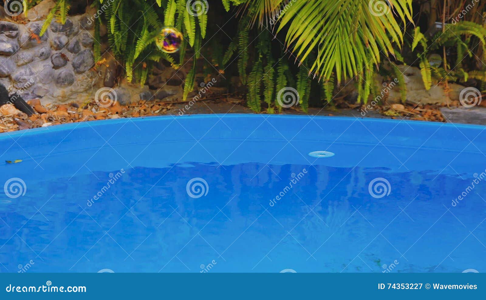 Soap Bubbles Fly Over a Swimming Pool and Jumping on the Water Stock ...