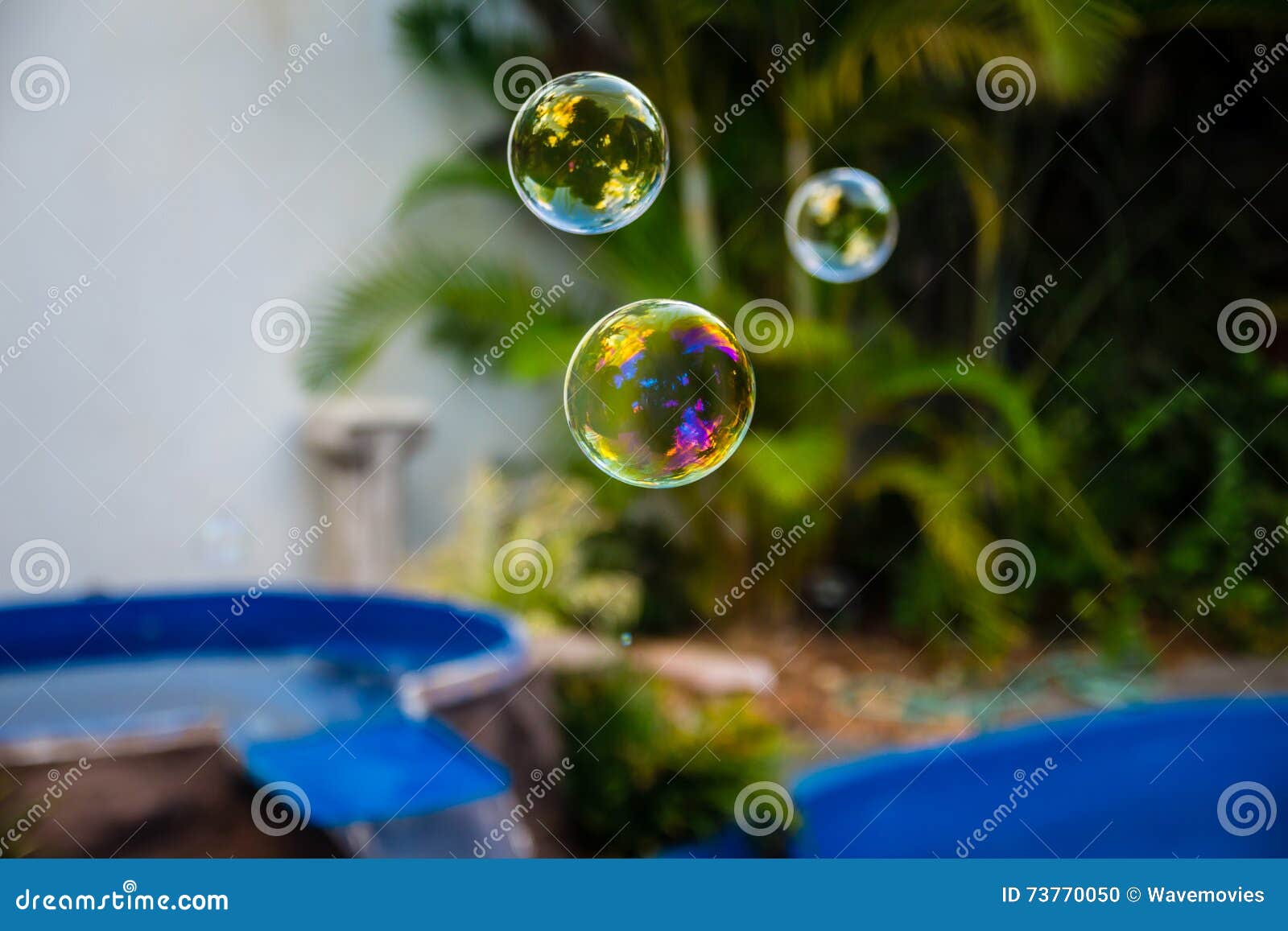 Soap Bubbles Fly in the Swimming Pool Stock Photo - Image of outdoor ...
