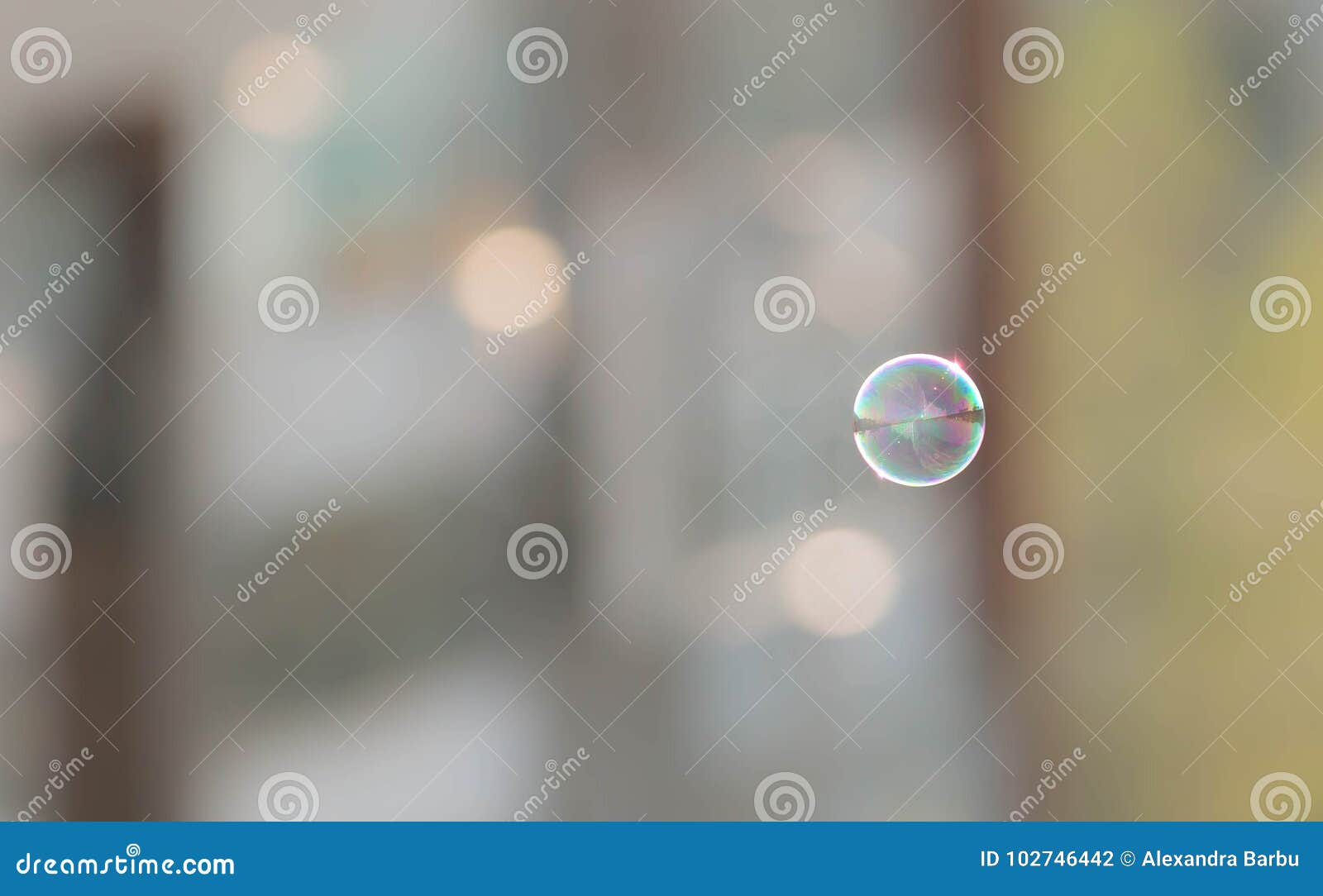 Soap Bubble with Sun Reflection Stock Photo - Image of magic, bubbles ...