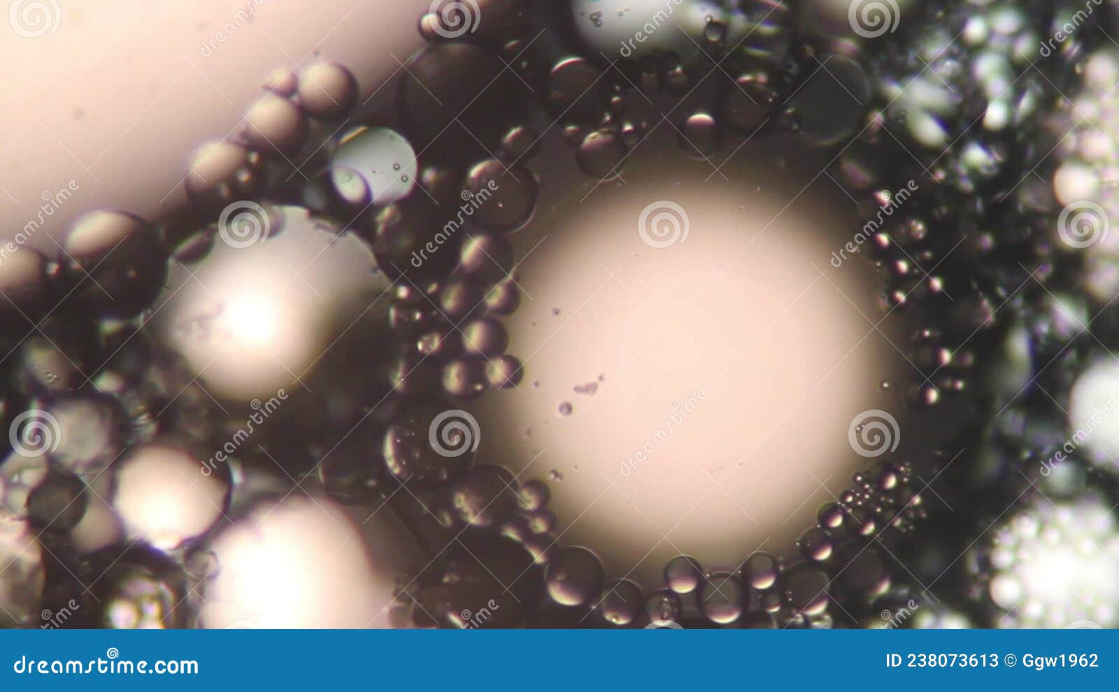 Soap and oil stock video. Video of nature, hygiene, froth - 238073613