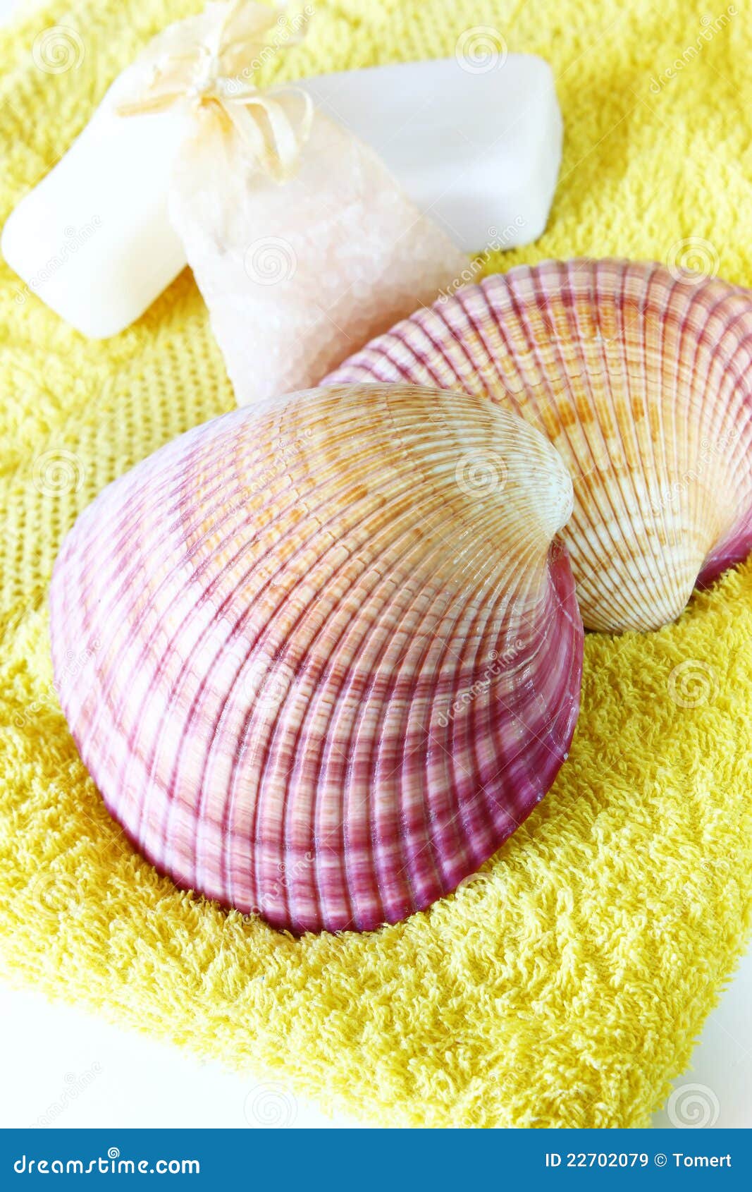 Soap and sponge on towel stock image. Image of nature - 22702079