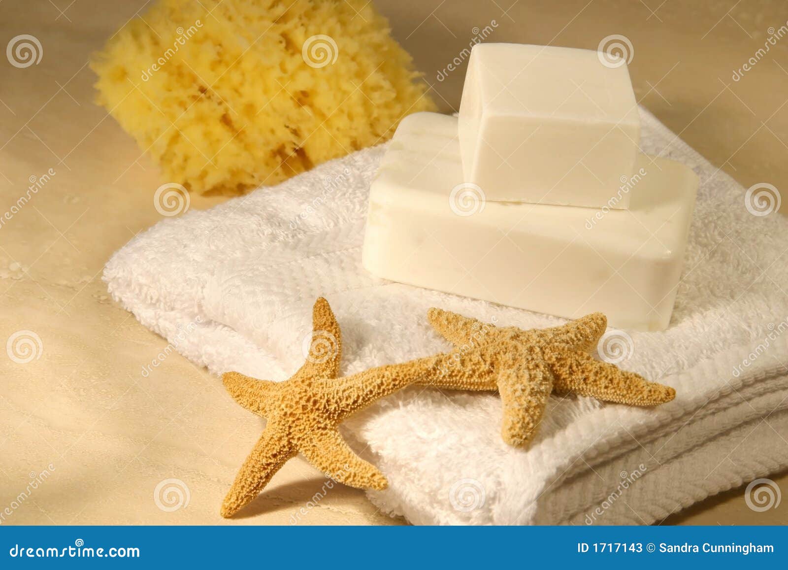 Soap and starfish stock image. Image of health, bathe - 1717143