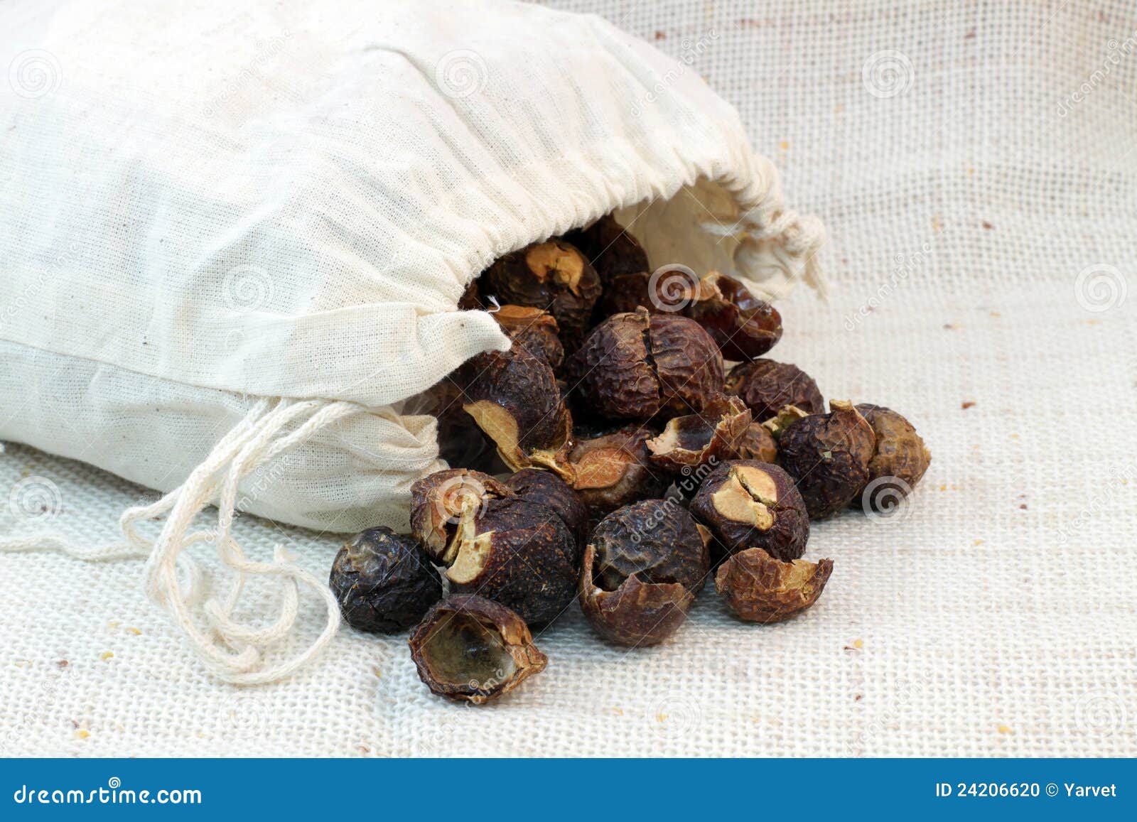 Soap (washing) nuts stock photo. Image of berry, natural - 24206620