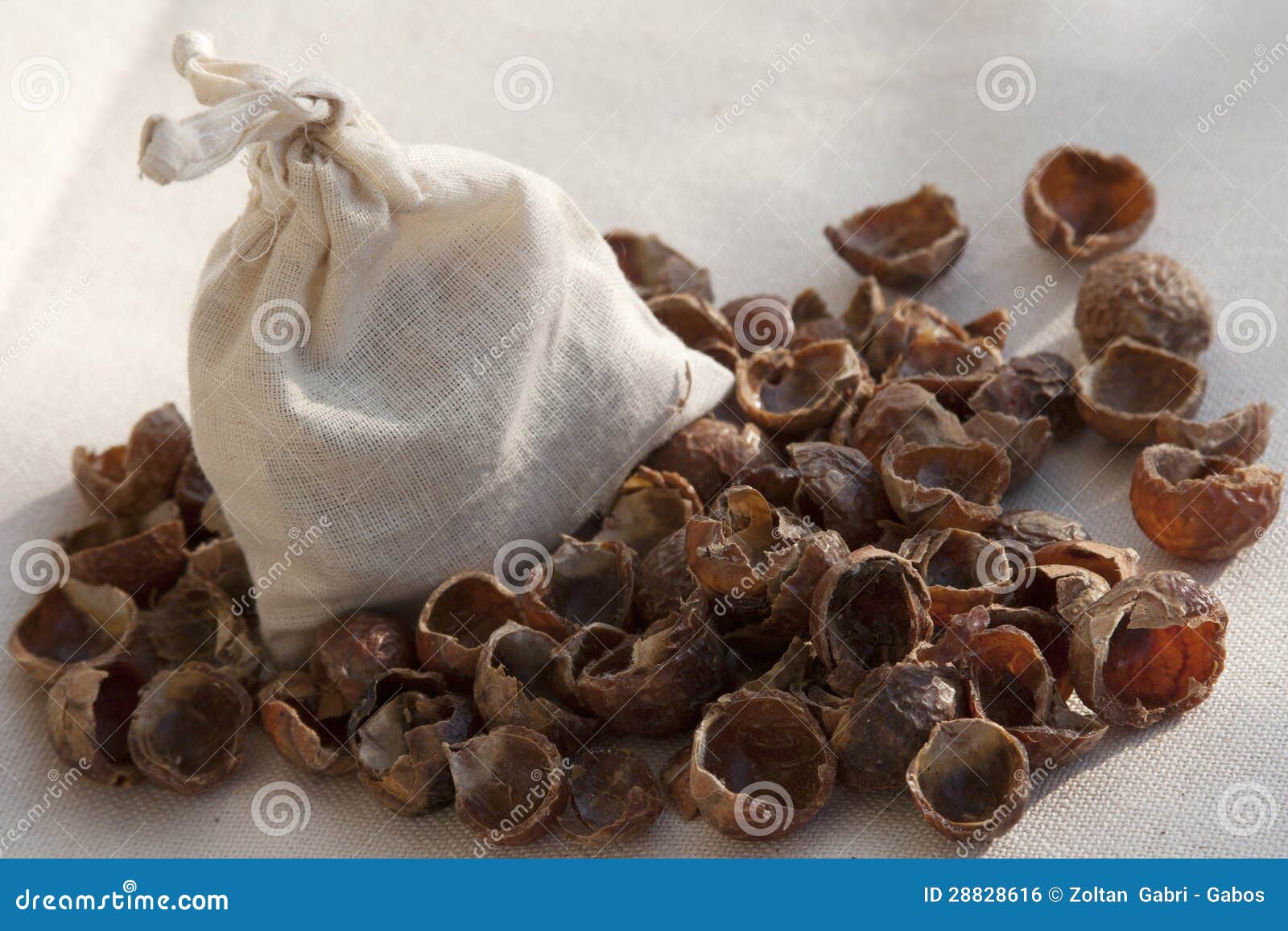 Soap (washing) nuts stock photo. Image of ecology, pure - 28828616